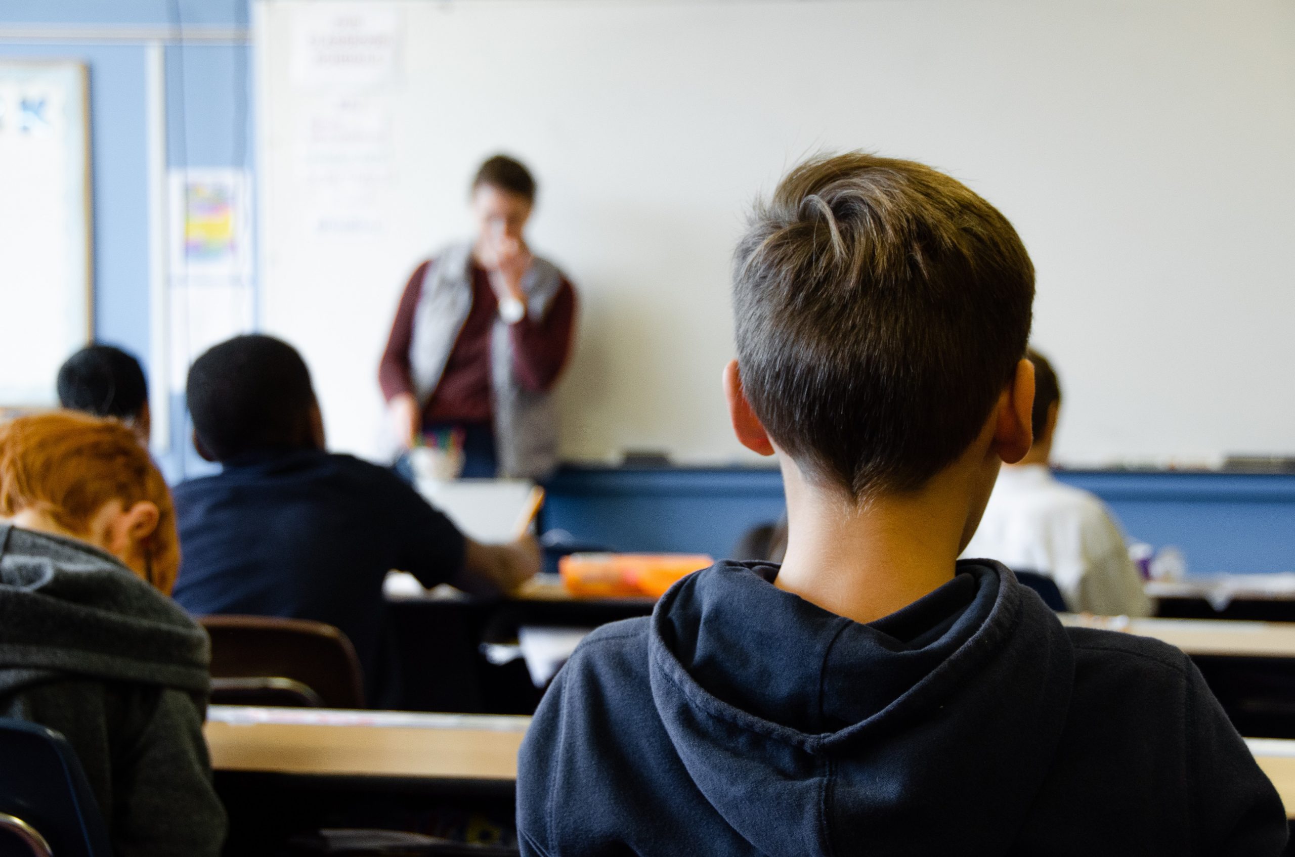 PNUD define claves para trabajar y fortalecer la educación ciudadana en ...
